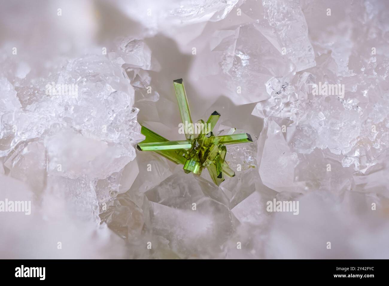 green Olivine. Specimen from Clara Mine, Oberwolfach, Germany. Micro ...