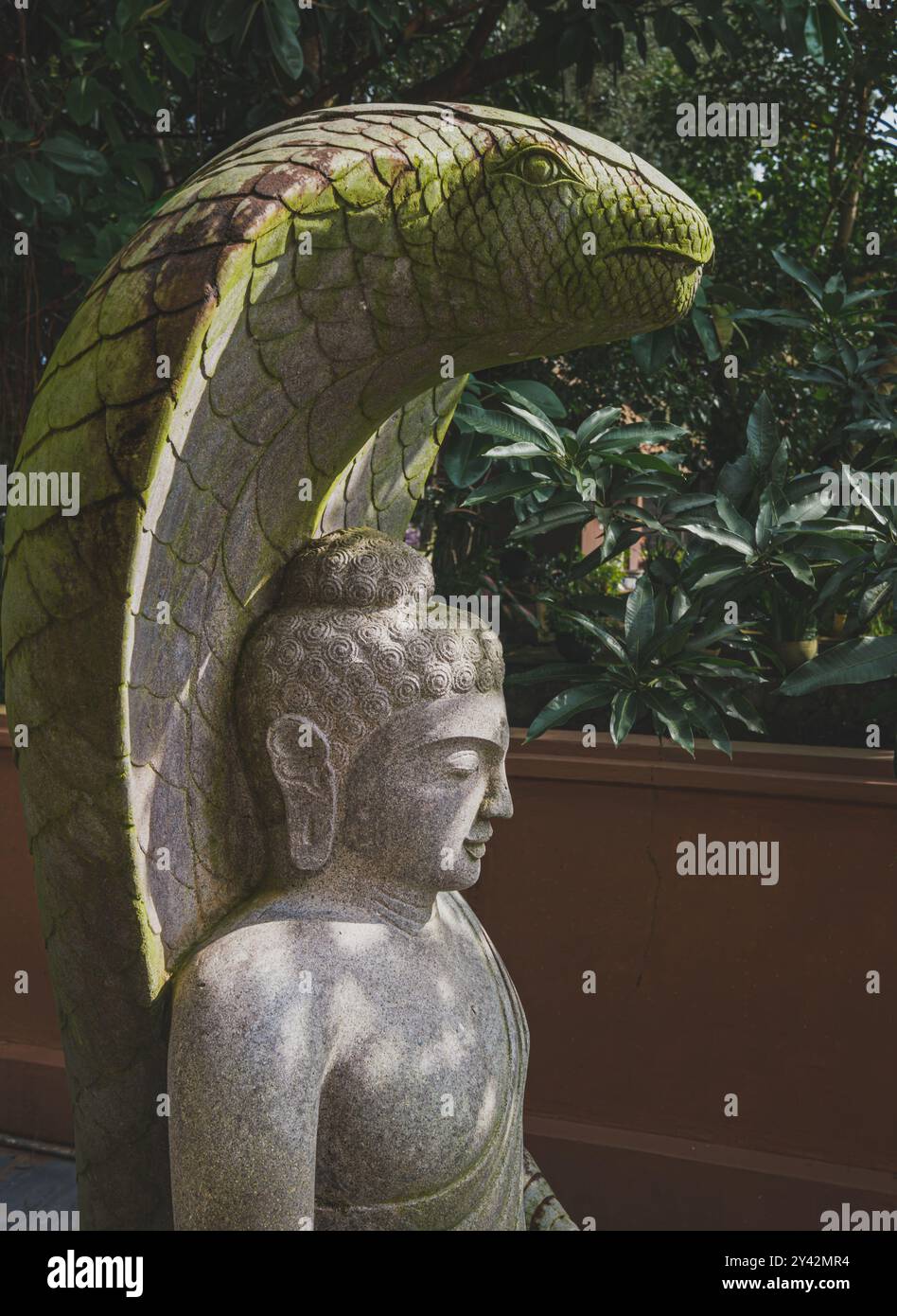 Balikpapan, Indonesia - July 6th, 2024. A peaceful Buddha statue ...