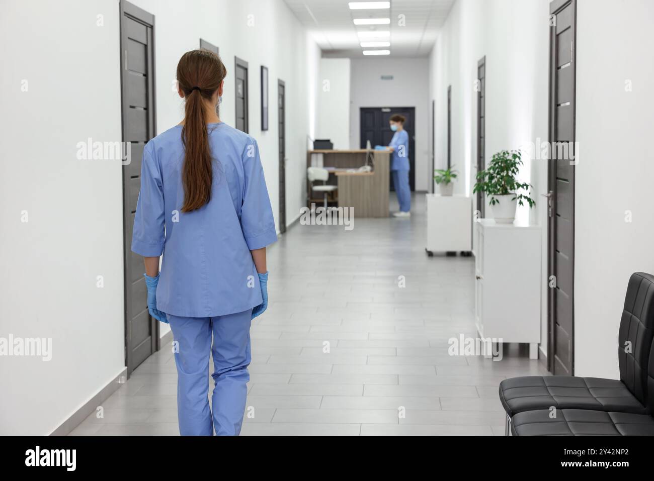 Nurse in uniform walking in hospital hallway, back view Stock Photo - Alamy