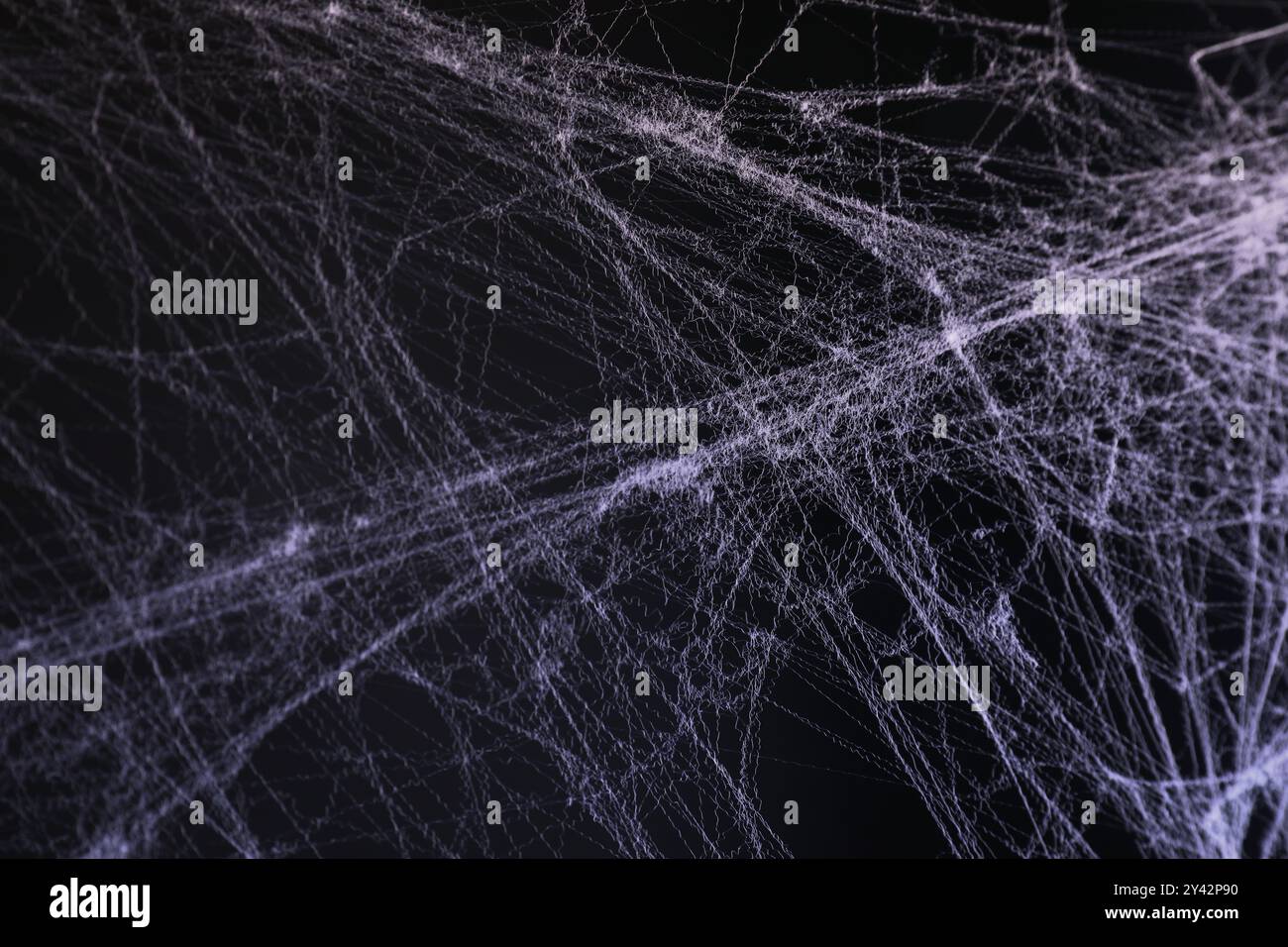 Cobweb against black background, toned in gradient violet color Stock ...