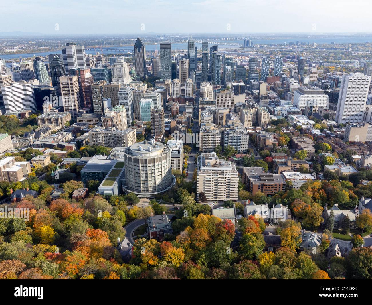 Aerial view of Downtown Montreal city skyline panorama in autumn sunny ...