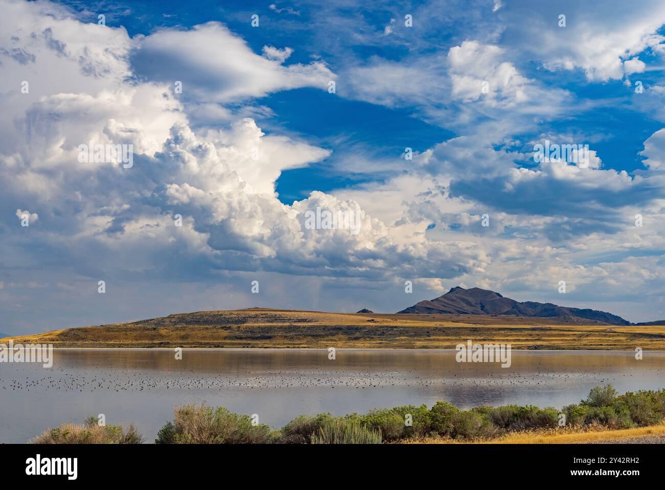 The cumulus clouds build up over Antelope Island State Park and the ...
