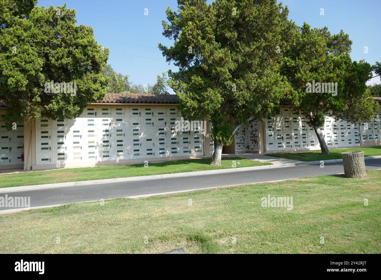 Inglewood, California, USA 14th September 2024 Actor Sam Polo Grave in ...