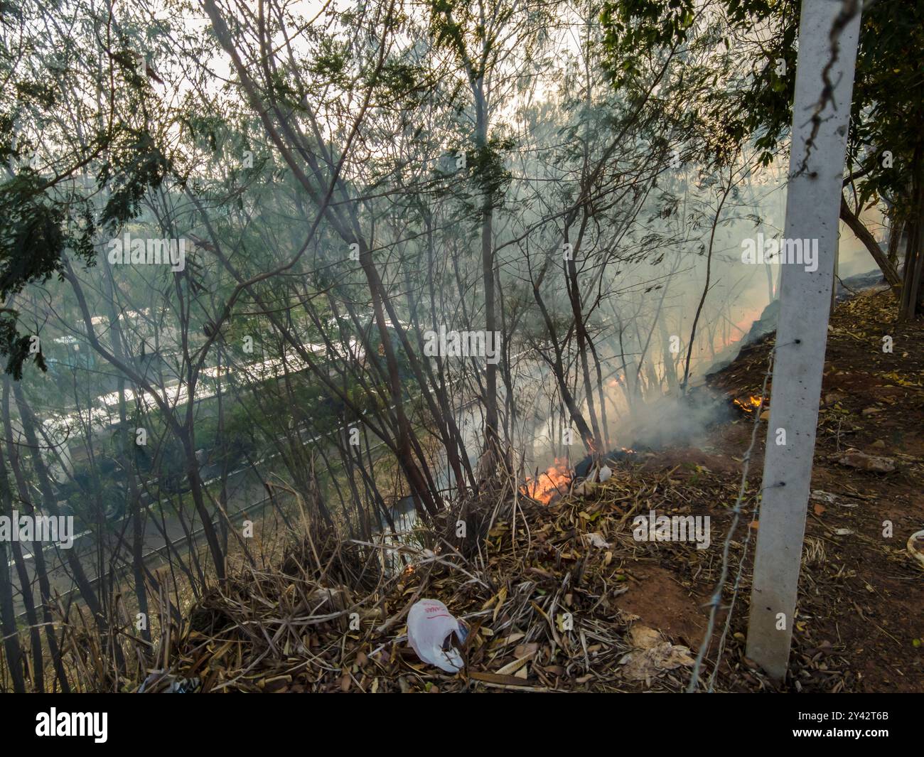 Marilia, SP, Brazil, August 16, 2024. Dry bush catches fire next to a ...