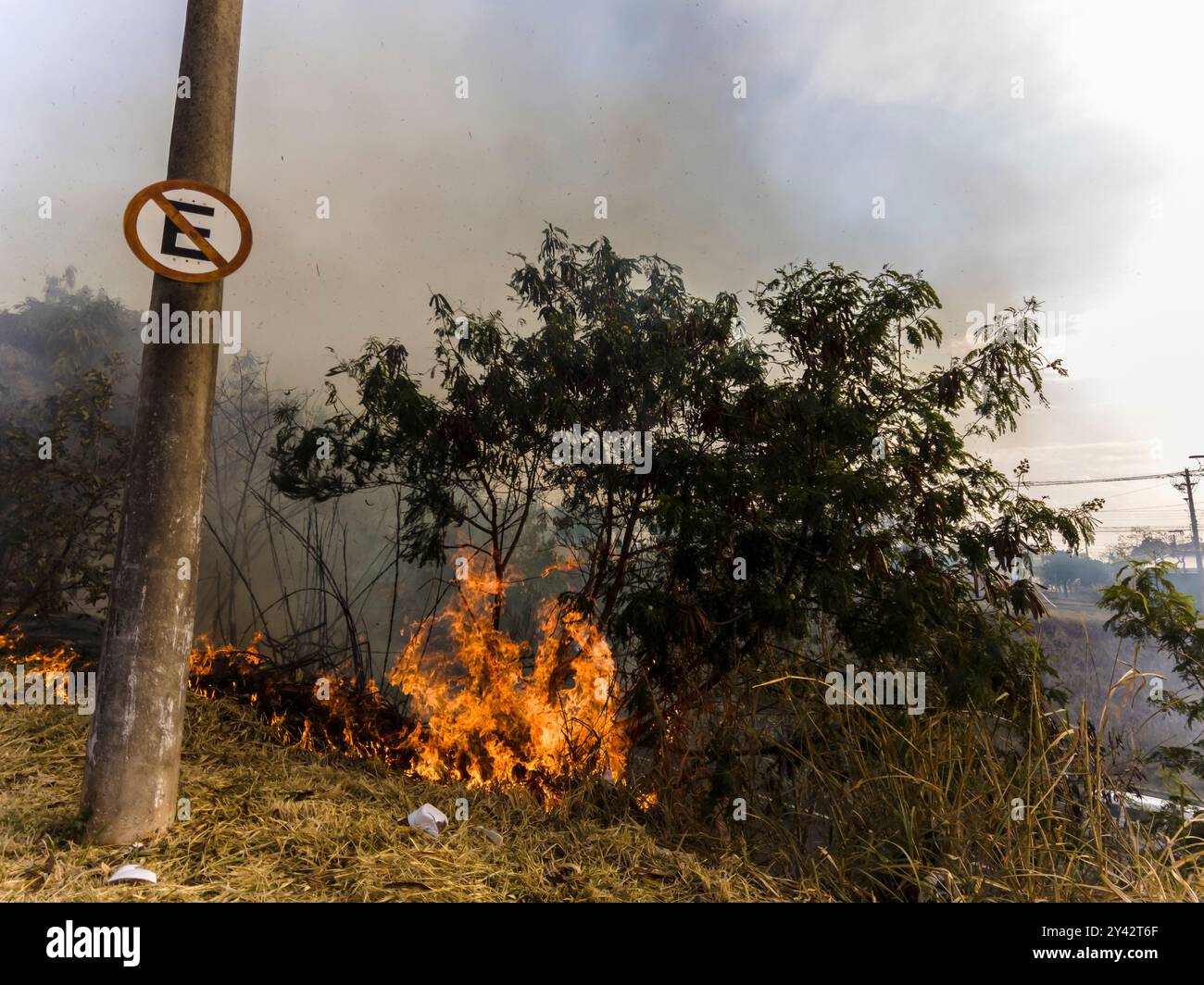 Marilia, SP, Brazil, August 16, 2024. Dry bush catches fire next to a ...
