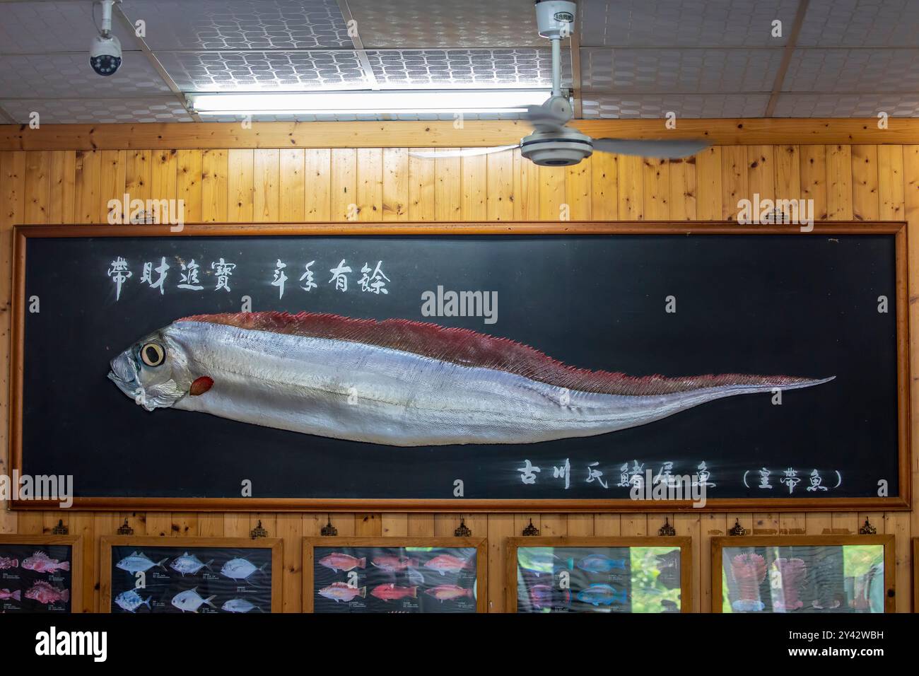 Oarfish hi-res stock photography and images - Alamy