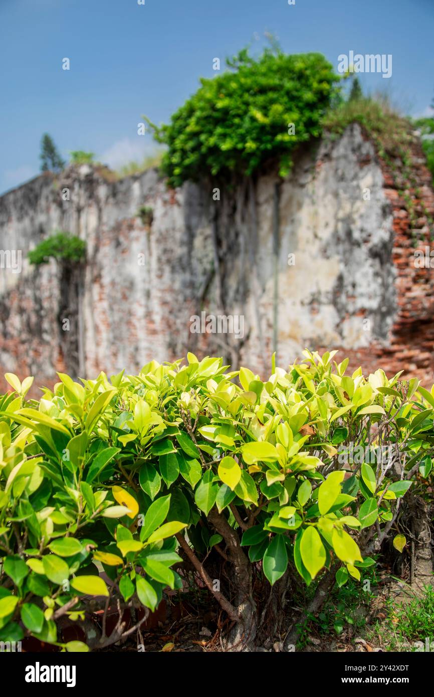The Wall of Fort Zeelandia in Anping Old Fort in Tainan of Taiwan ...