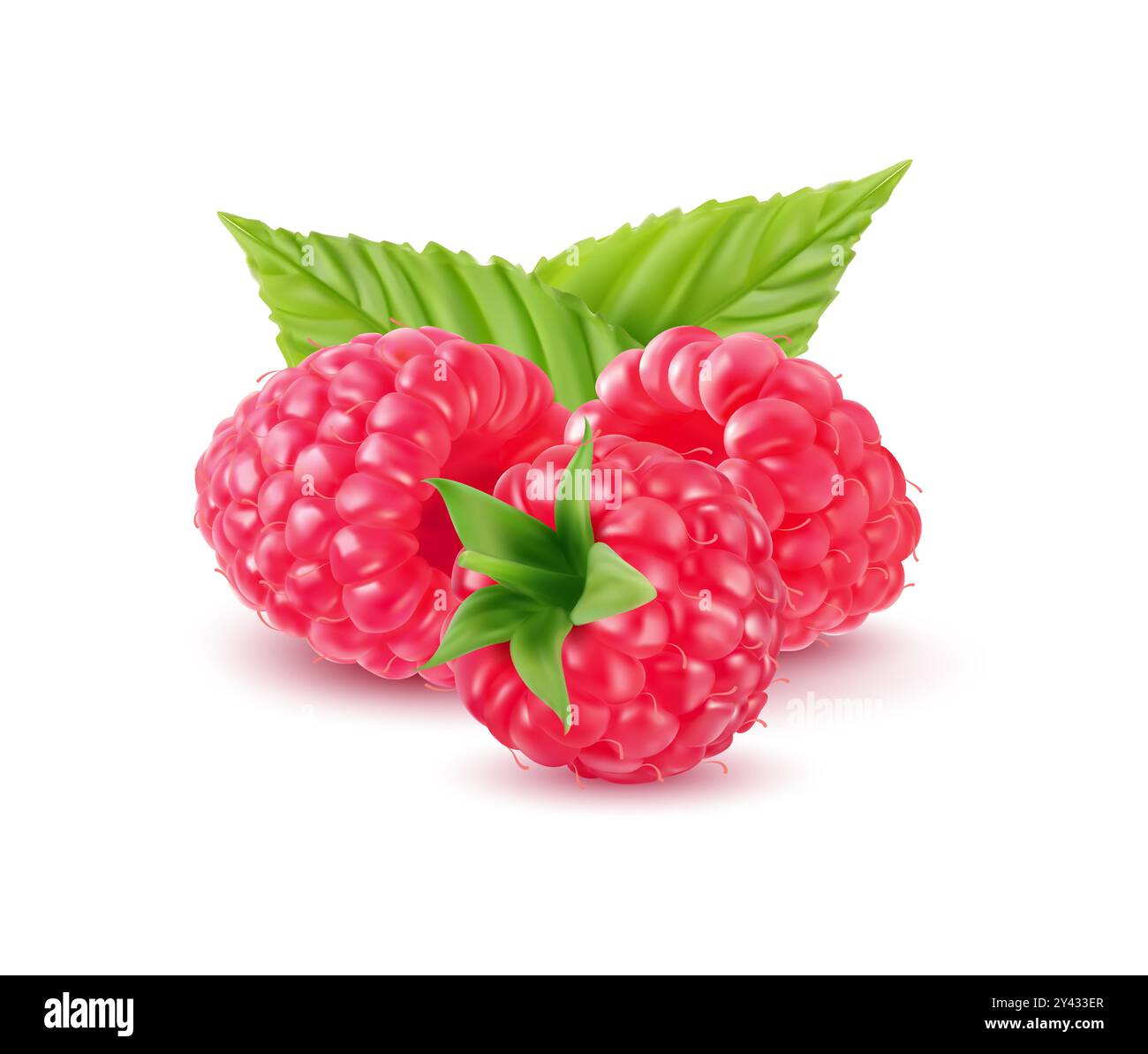 Realistic isolated 3d ripe raspberry berry with vibrant green leaves ...