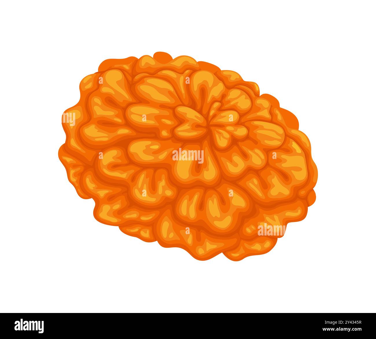 Mexican marigold cempasuchil flower. Isolated cartoon vector vibrant ...