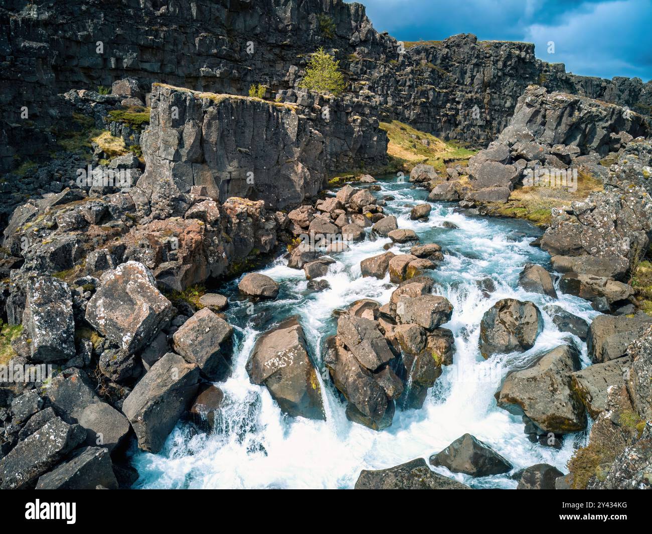 Mesmerizing bird's-eye views reveal the mystical charm of the fog ...