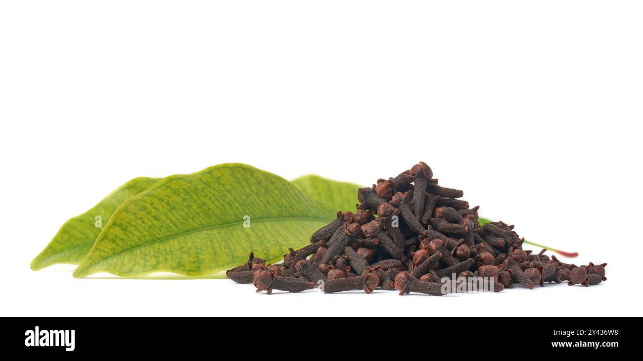 pile of cloves with tree leaves isolated white background, strong spicy ...