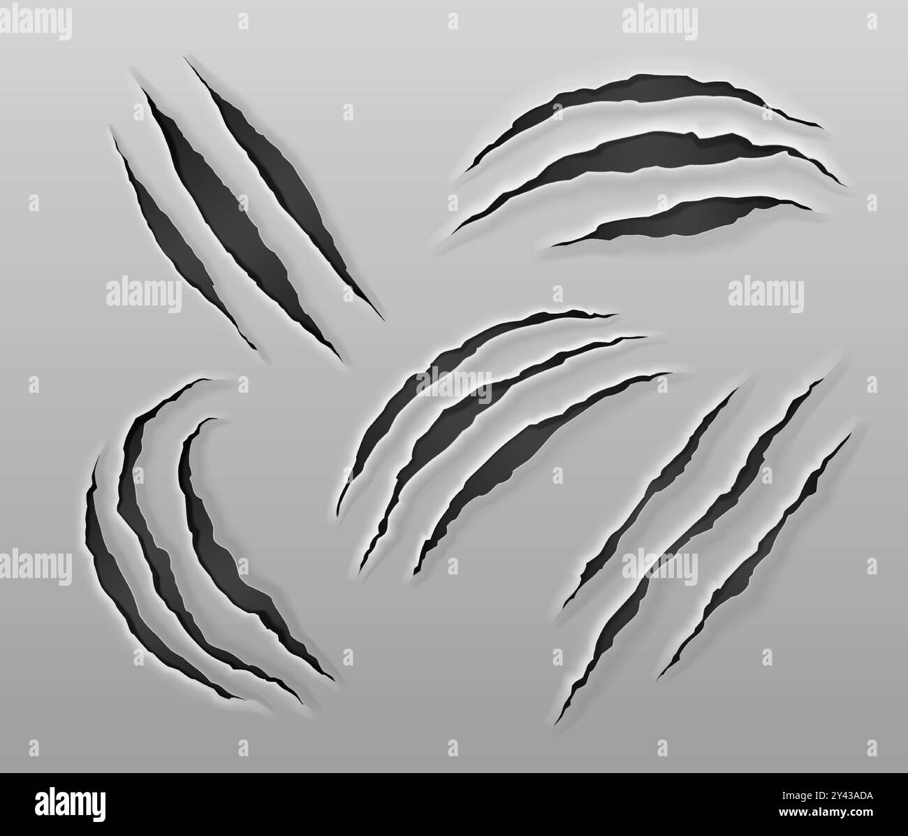 Tiger claw scratch on paper vector. Bear paw mark. Lion nail trace ...