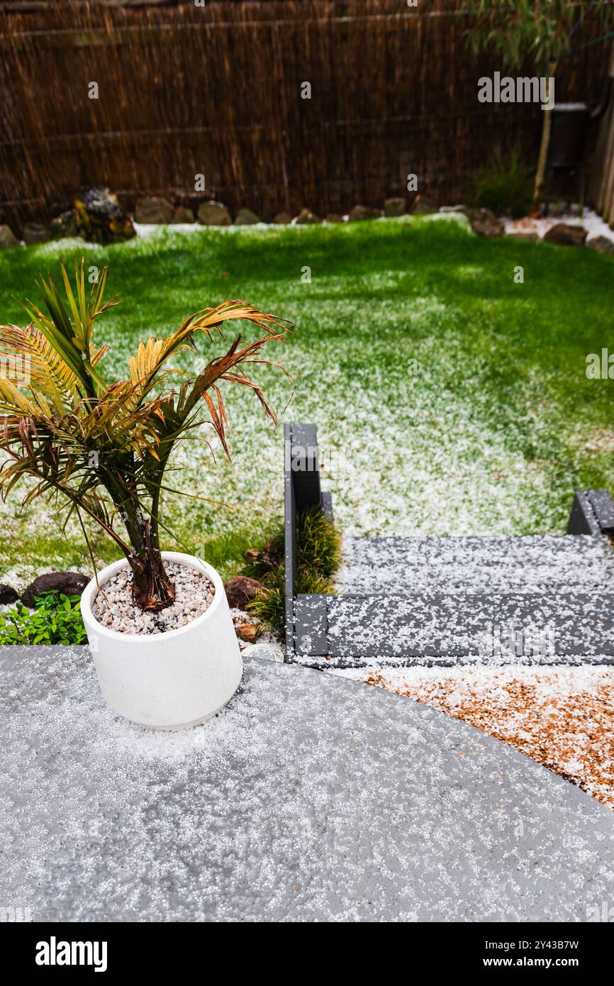 Australian backyard covered in hail with lawn and tropical plants ...