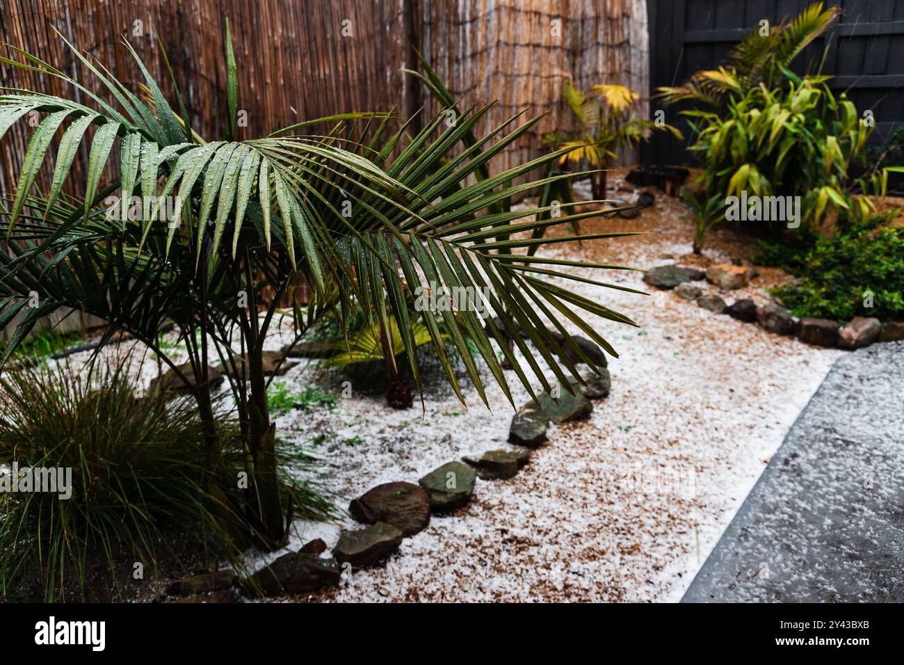 Australian backyard covered in hail with lawn and tropical plants ...