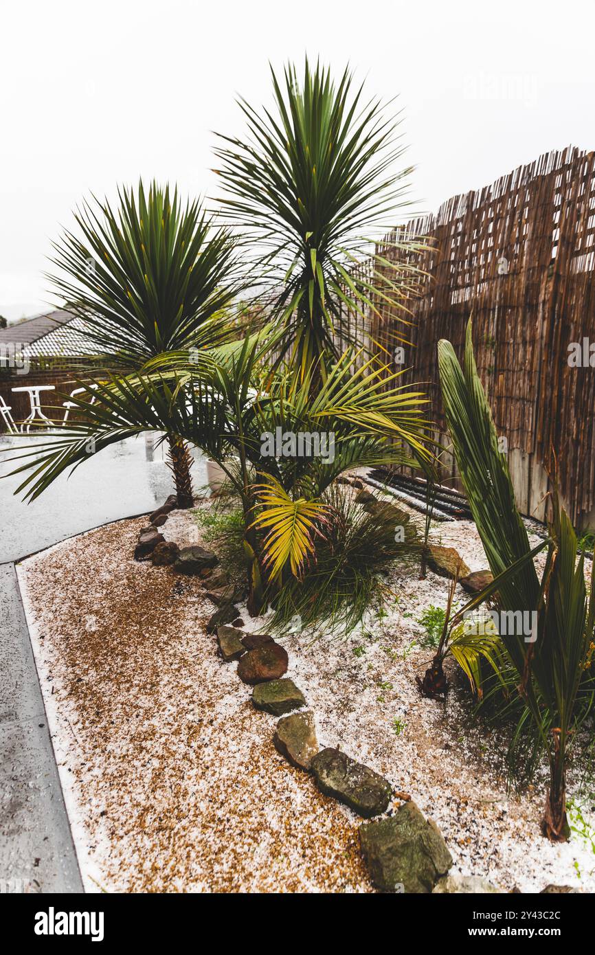Australian backyard covered in hail with lawn and tropical plants ...