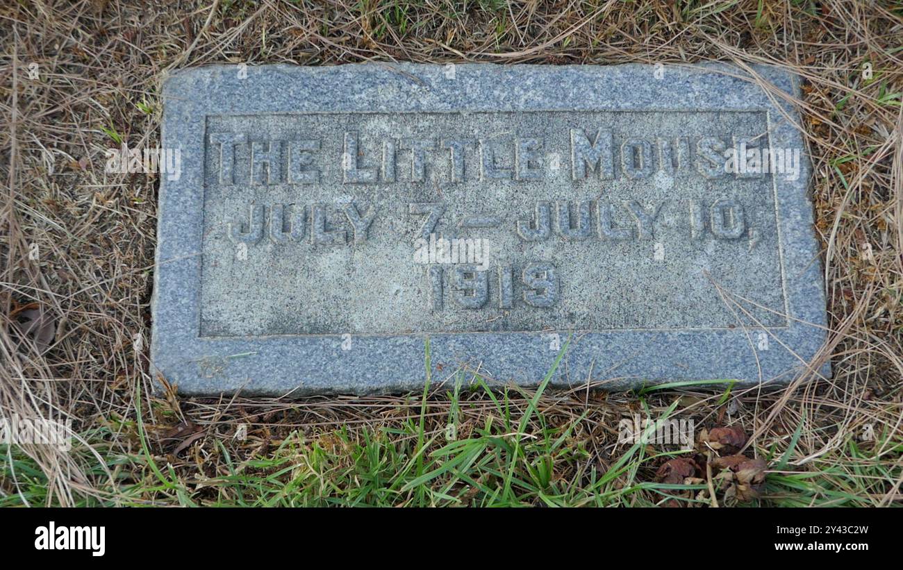 Norman spencer the little mouse chaplin hi-res stock photography and images - Alamy