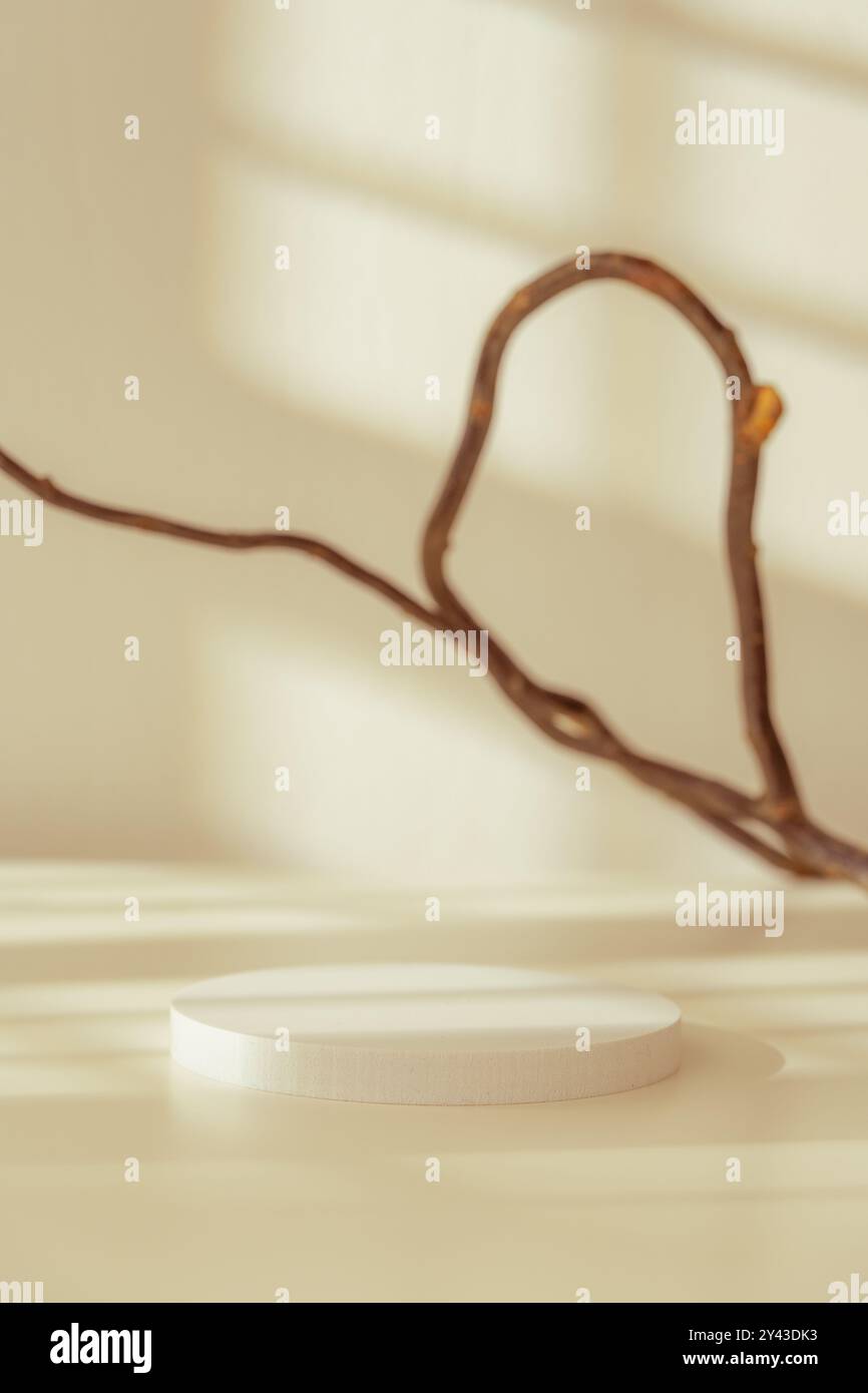 Simple White Circular Stand With Natural Branch Against Soft Background ...