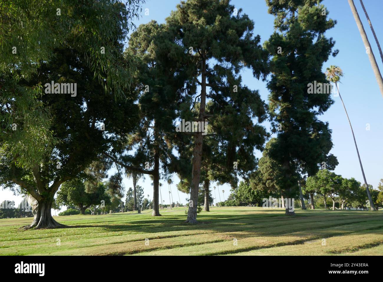 Inglewood, California, USA 14th September 2024 Inglewood Park Cemetery ...