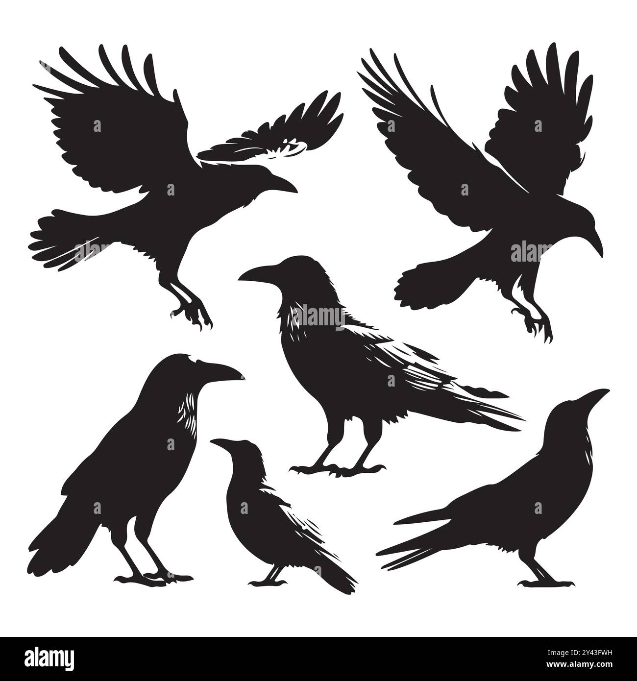 Set of crow silhouette vector on a white background Stock Vector Image ...