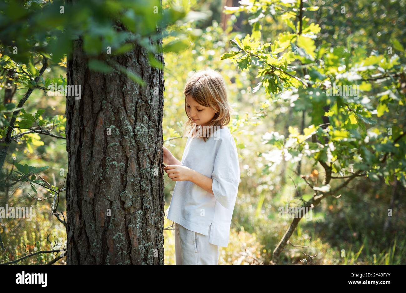 A teenage girl hugs a tree in the forest. Hugging and touching trees to ...