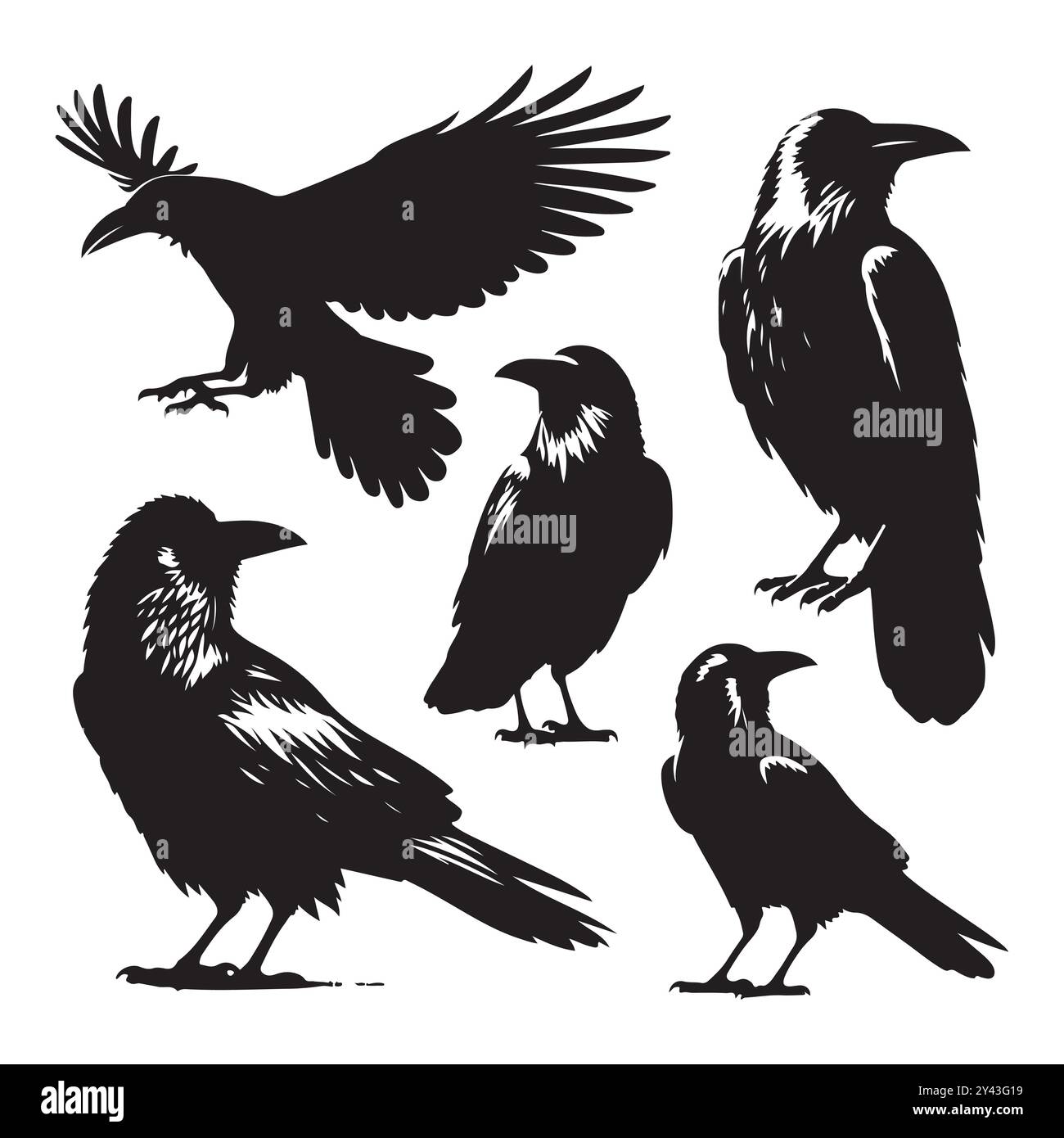 Set of crow silhouette vector on a white background Stock Vector Image ...