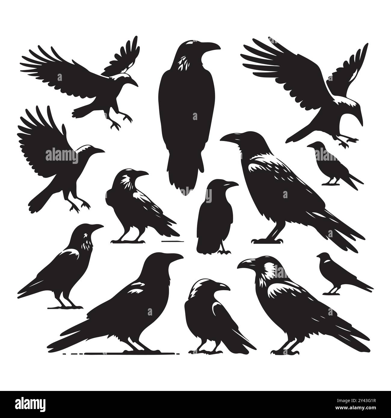 Set of crow silhouette vector on a white background Stock Vector Image ...