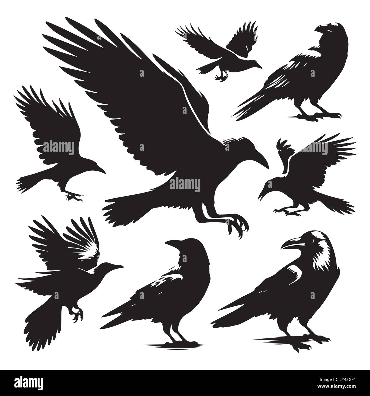 Set of crow silhouette vector on a white background Stock Vector Image ...