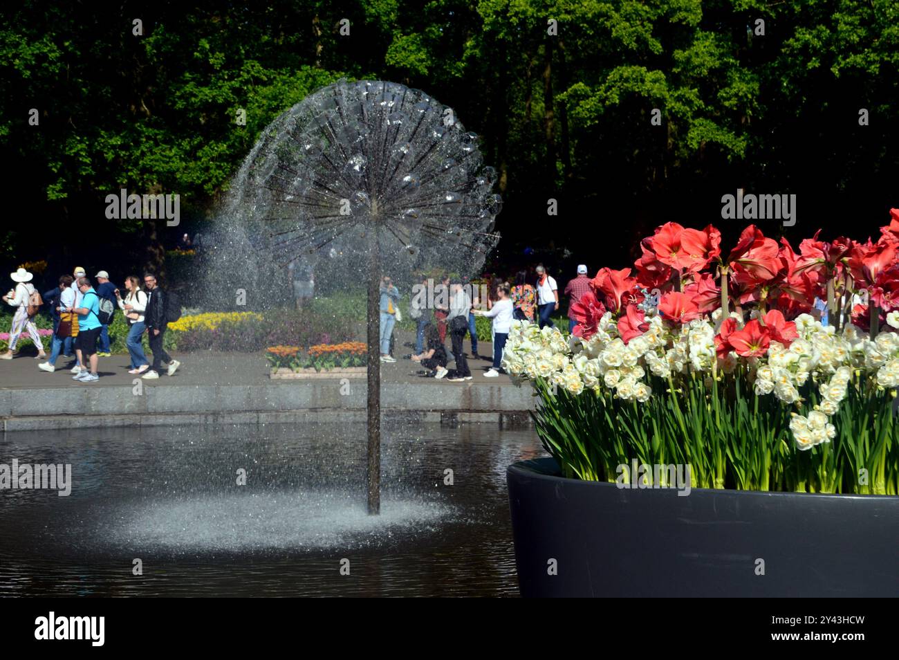 People Walking by Dandelion Water Fountain in Lake/Pond at Keukenhof ...