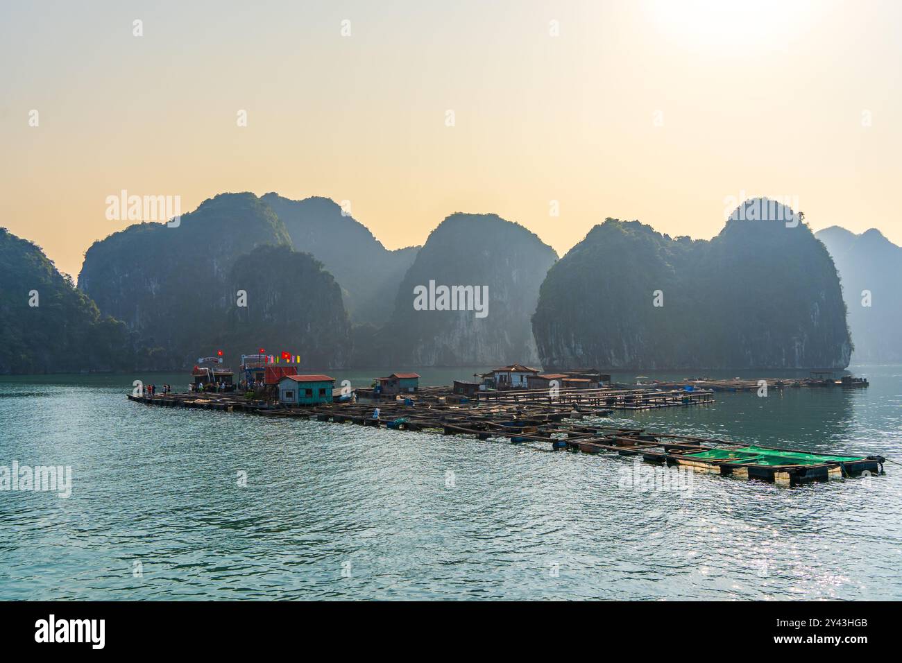 Aquaculture rafts in Lan Ha Bay, Hai Phong, Vietnam Stock Photo - Alamy