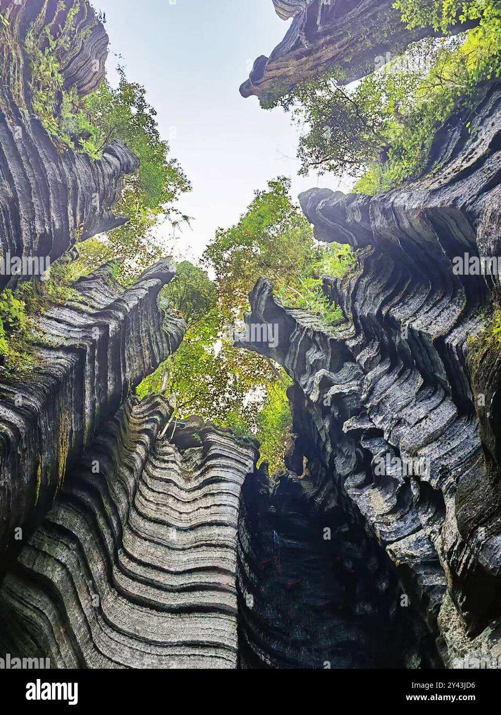ENSHI, CHINA - AUGUST 22, 2024 - Known as the "world's first Ordovician ...