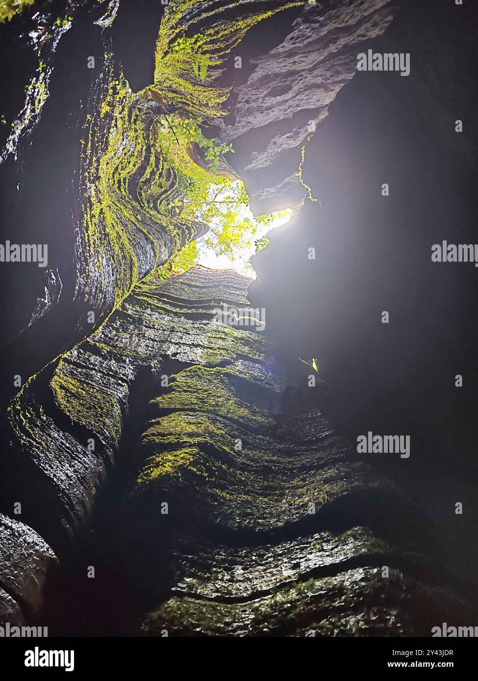 ENSHI, CHINA - AUGUST 22, 2024 - Known as the "world's first Ordovician ...