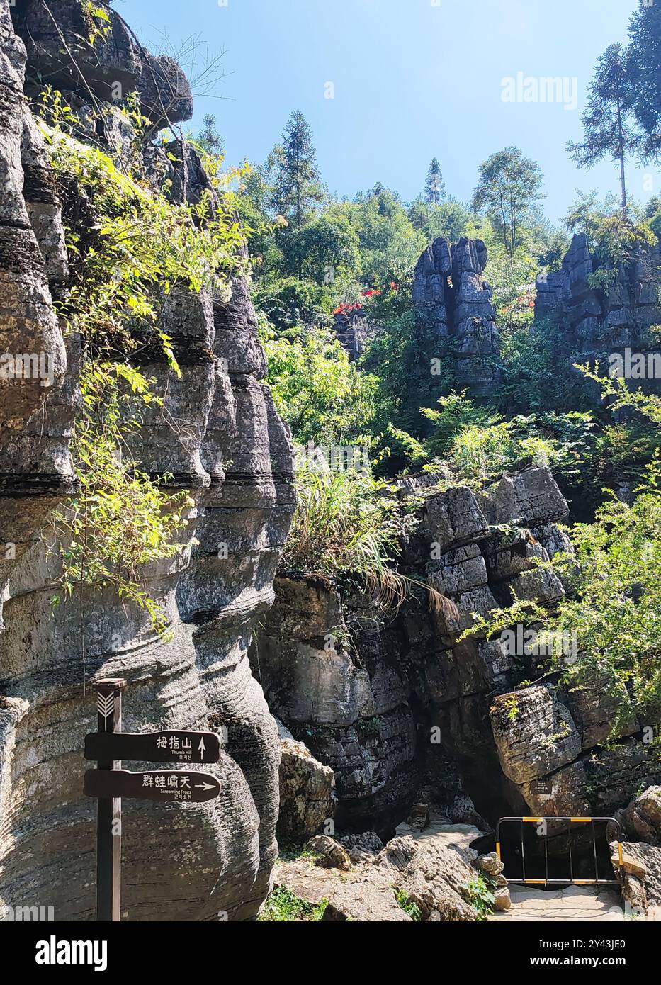 ENSHI, CHINA - AUGUST 22, 2024 - Known as the "world's first Ordovician ...