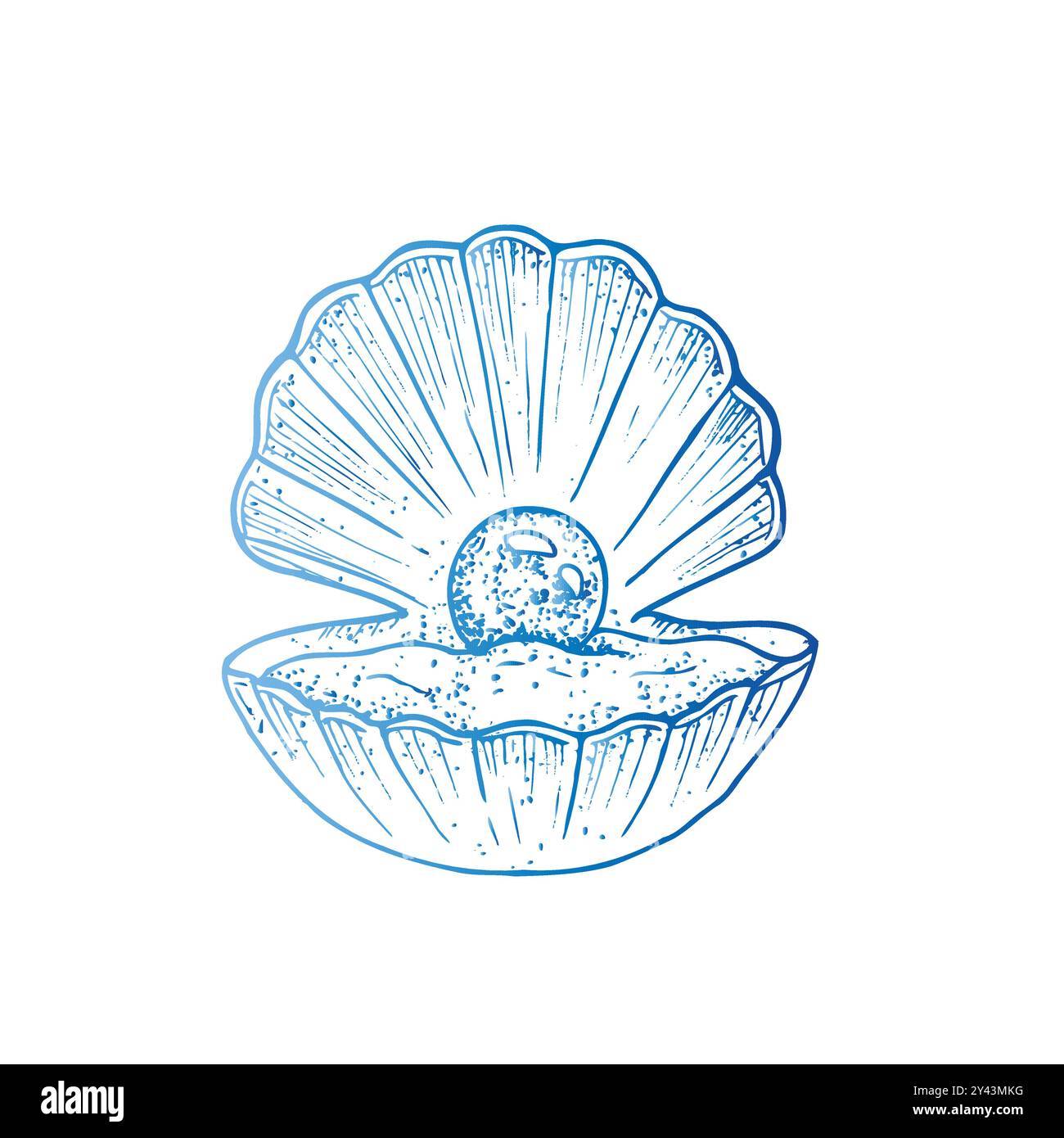 Opened oyster Stock Vector Images - Alamy