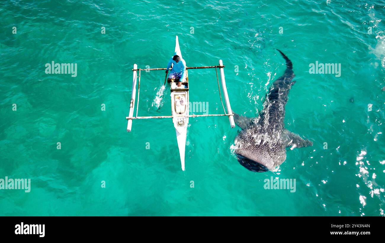 Cebu birds hi-res stock photography and images - Alamy