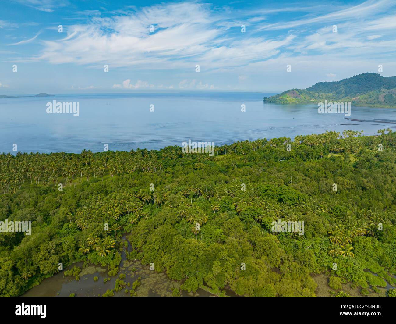 The coast of Mindanao with rainforest and coconut trees. Philippines ...