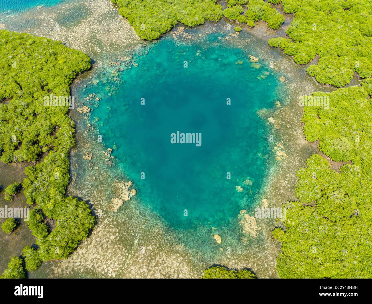 Beautiful mangroves and lagoons. Transparent turquoise water atoll ...