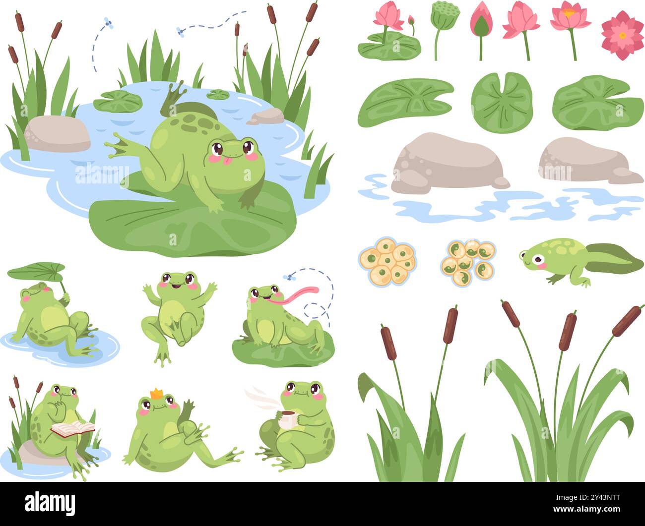 Cartoon frog pond. Green frogs or swamp toads on lily lotus leaves in ...