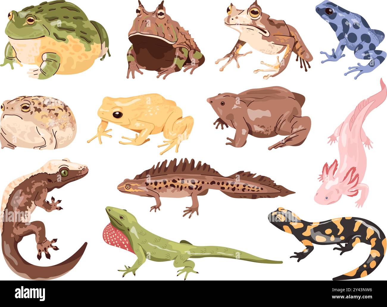 Cartoon frogs lizards. Exotic frog and lizard reptile, tropical ...