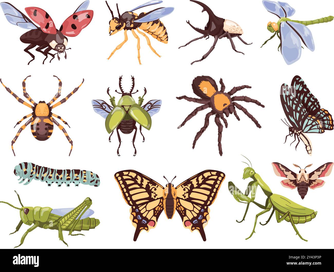 Wasp larvae ladybug hi-res stock photography and images - Alamy