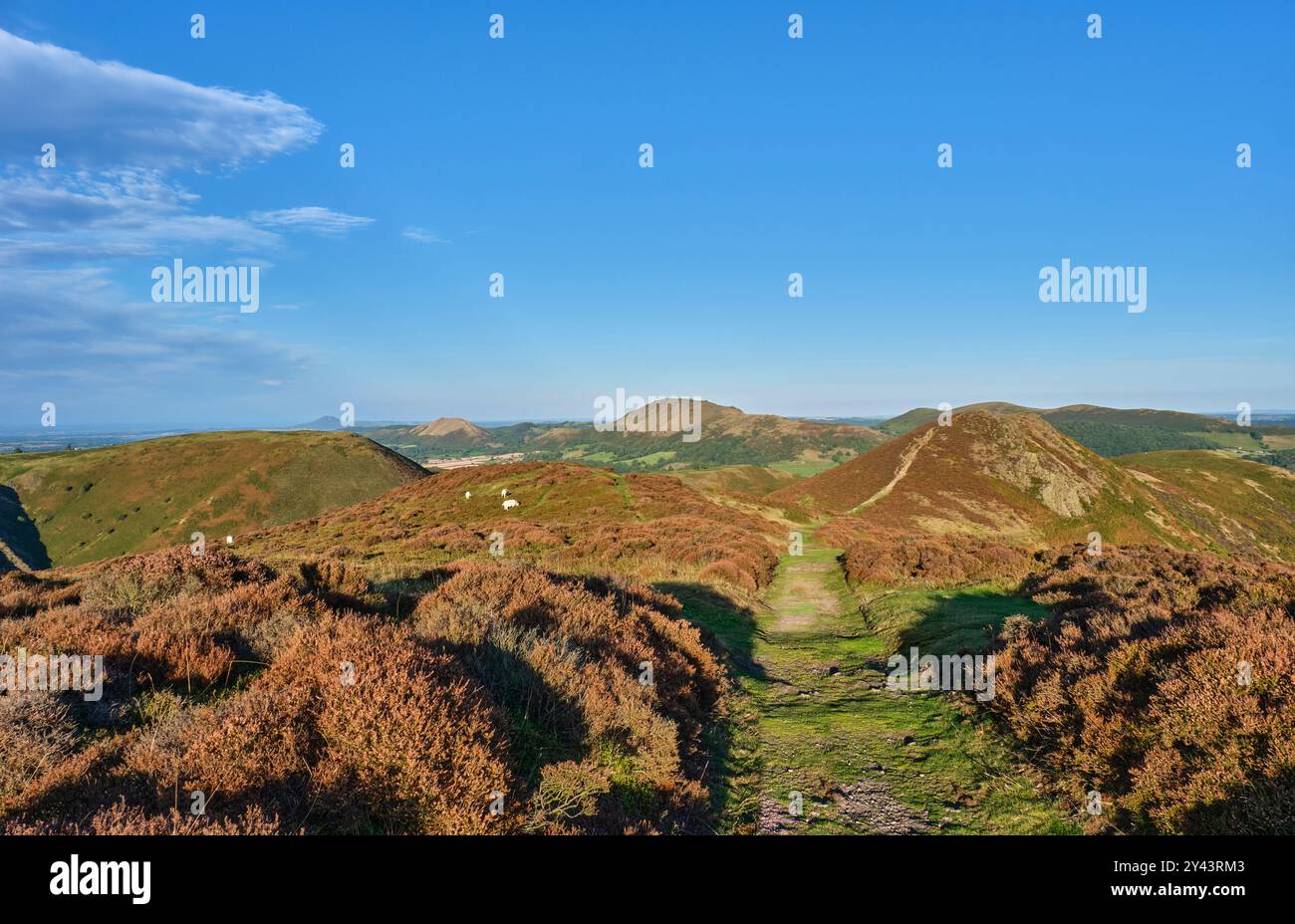 The Wrekin, The Lawley, Caer Caradoc, and the Devil's Mouth seen from ...