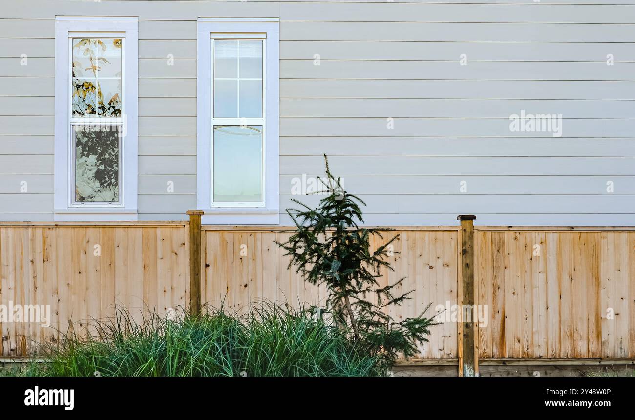 Big new wooden fence around the house. Wooden fence with green tree ...