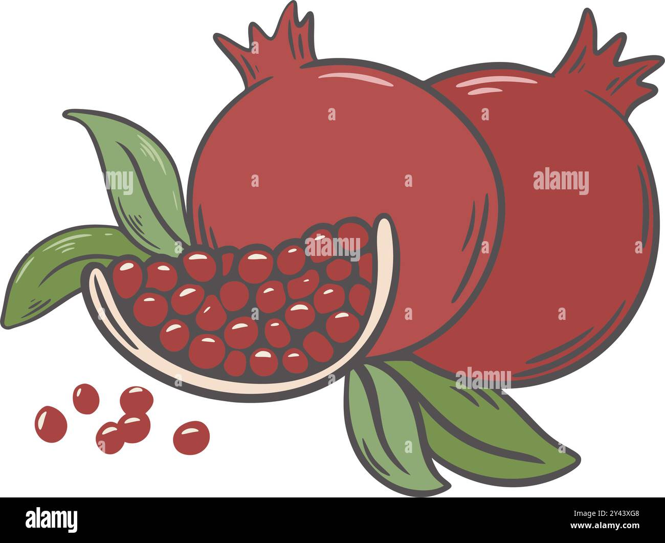 Composition of ripe pomegranate fruits and part with seeds and leaves ...