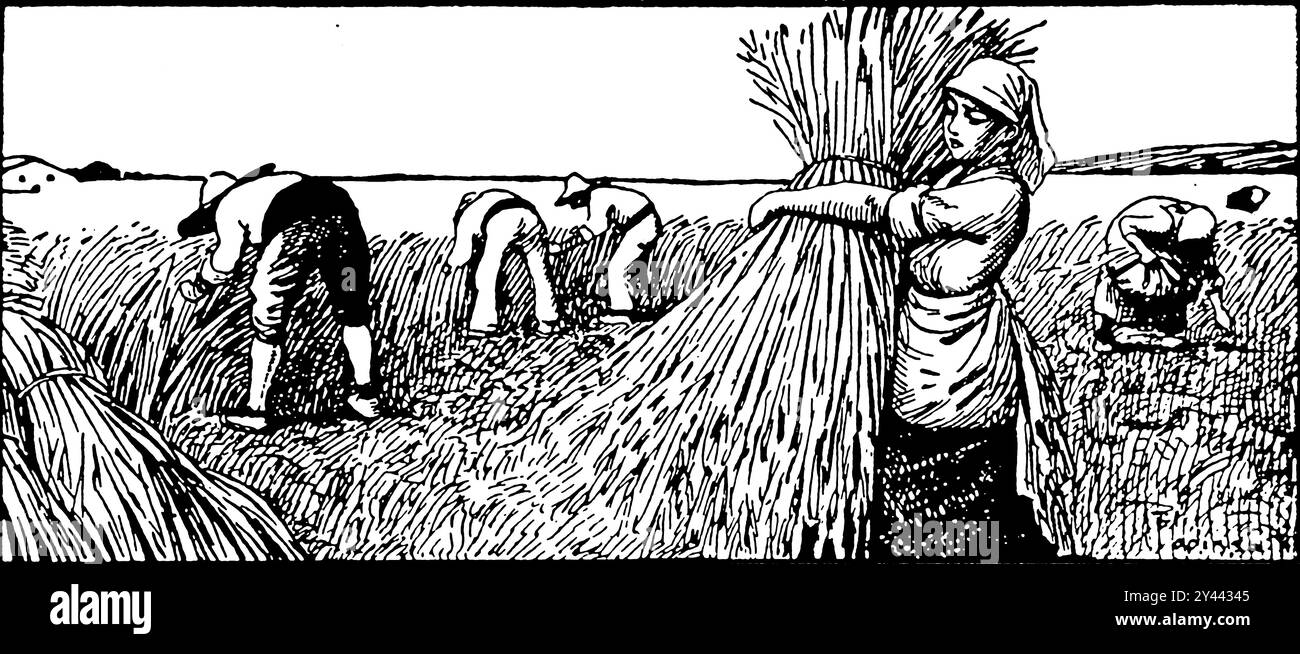 Young female farmer holds a bundle of harvested wheat in her arms while ...