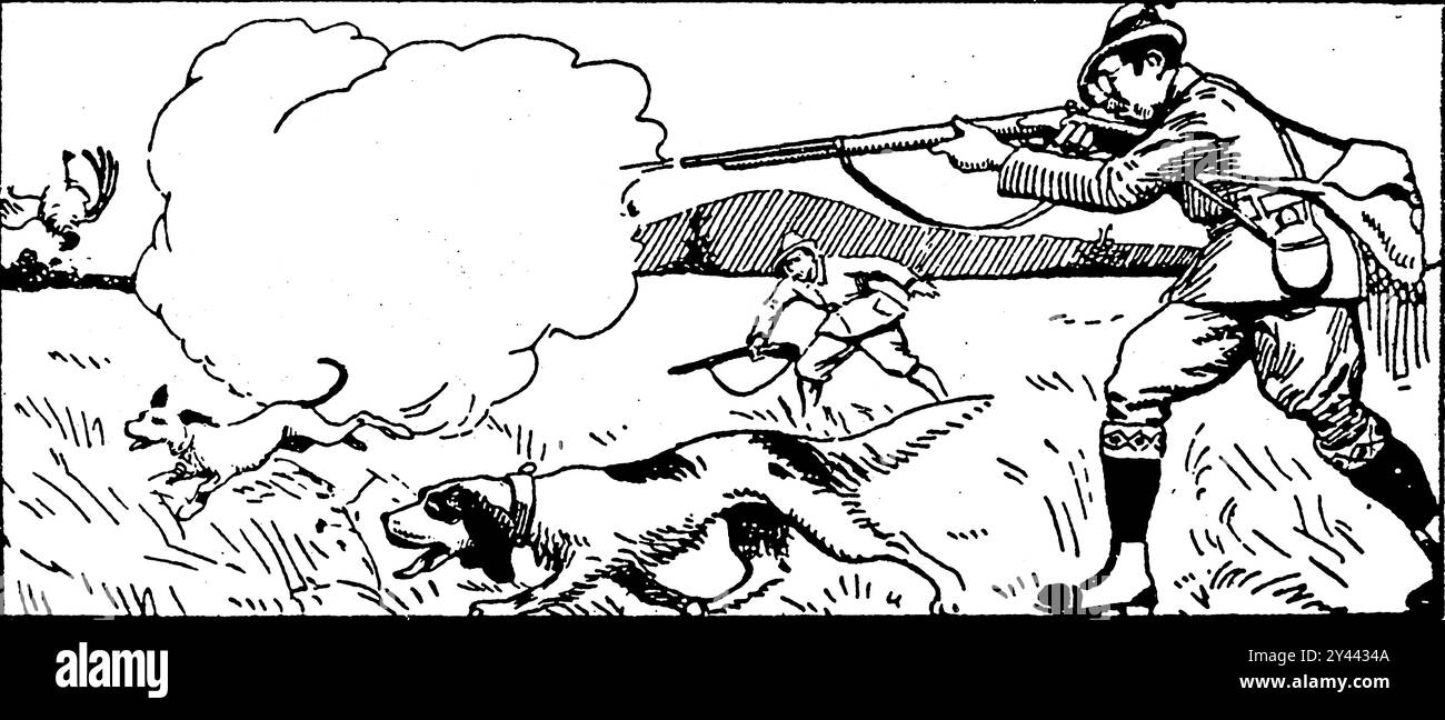 In a field a hunter hunts a bird with his shotgun, while two hunting ...