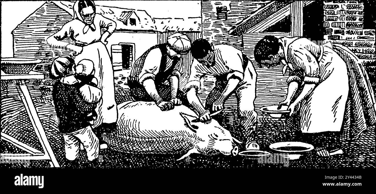 19th century traditional farm hi-res stock photography and images - Alamy