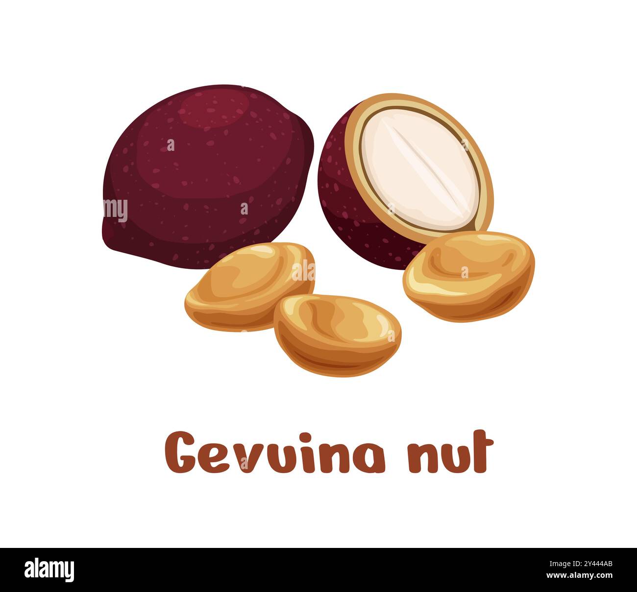 Avellano hi-res stock photography and images - Alamy