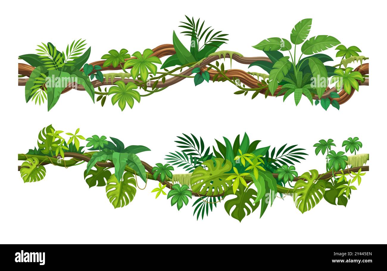 Tropical liana vines and ivy branches with monstera and jungle plant ...