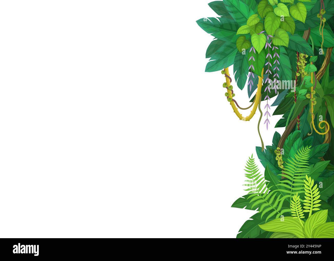 Tropical jungle forest lianas and vines background, vector frame of ...