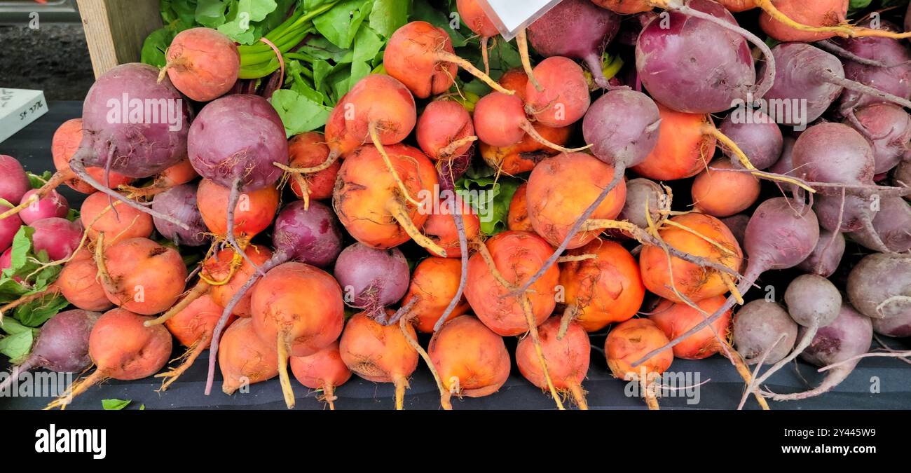 Bunches of golden and purple beets displayed at a market stall Stock ...