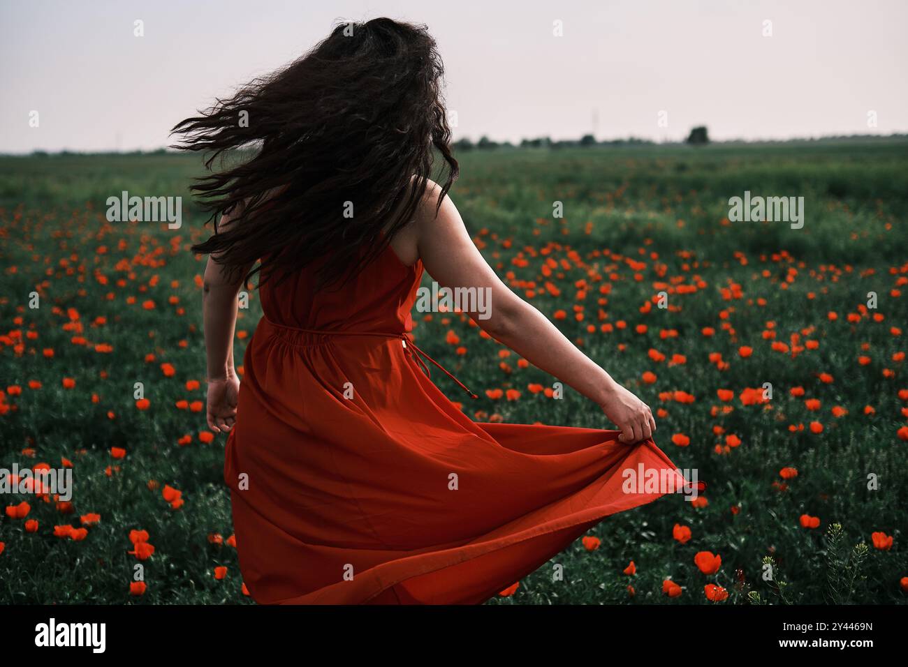 Woman in red dress running through poppy field Stock Photo - Alamy